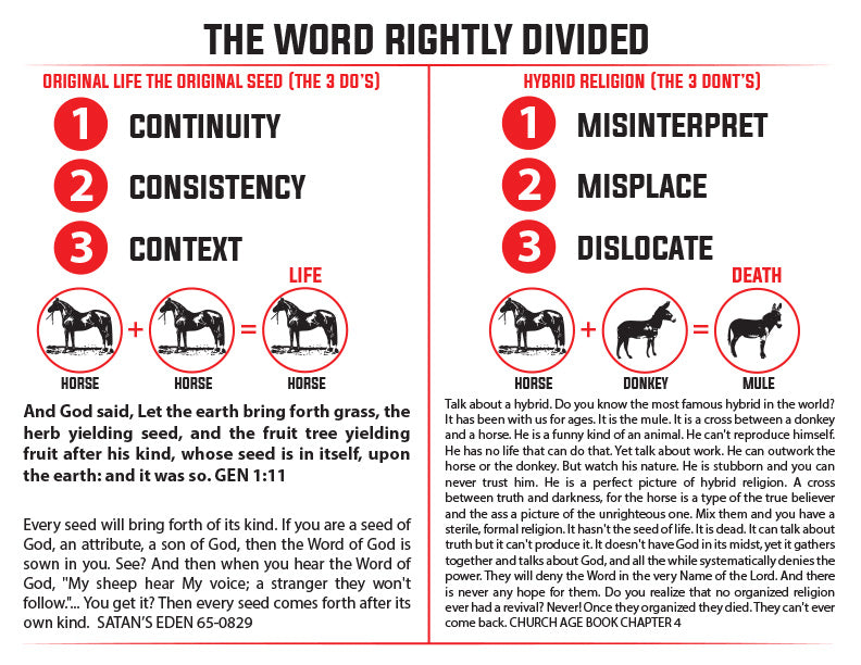 PDF BIBLE CHARTS – Fern's Gallery